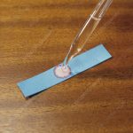 Lab Store – Lab Store.pk