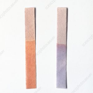 Litmus Paper Blue Red Lab Store